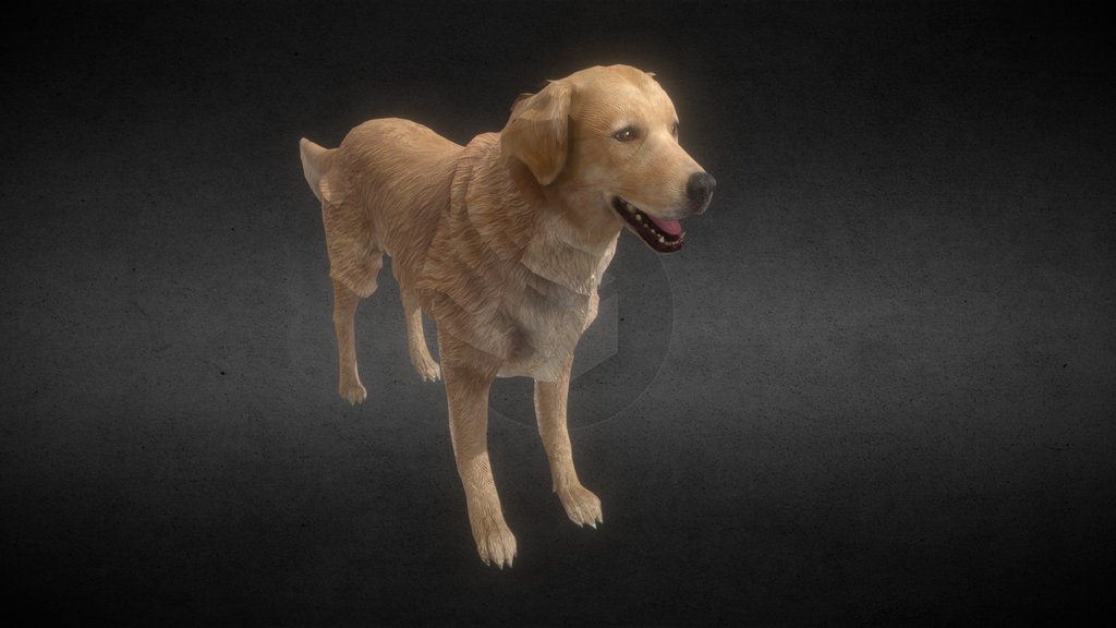 Animals Rigged - A 3D model collection by kevintreys - Sketchfab