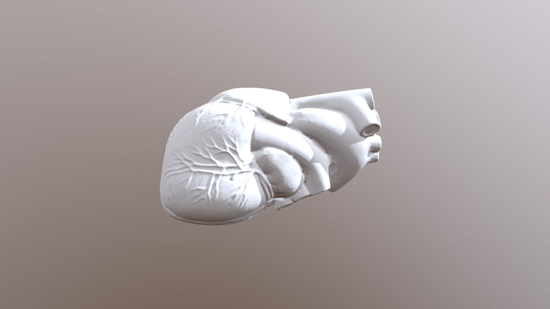 Heart model - Download Free 3D model by shining3d_florian [7bcb093 ...