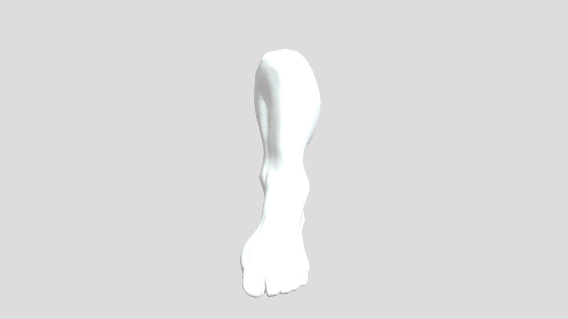 Foot - Download Free 3D model by josephracoon [7bcb8cd] - Sketchfab
