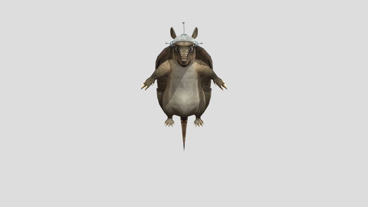 Armadillo 3D models - Sketchfab