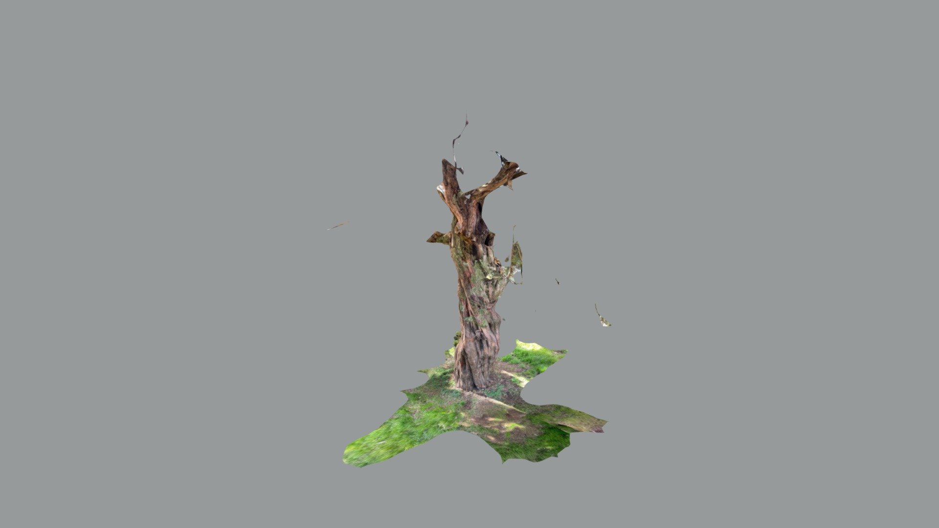 Tree - Download Free 3D model by makoragi [7bda1ff] - Sketchfab