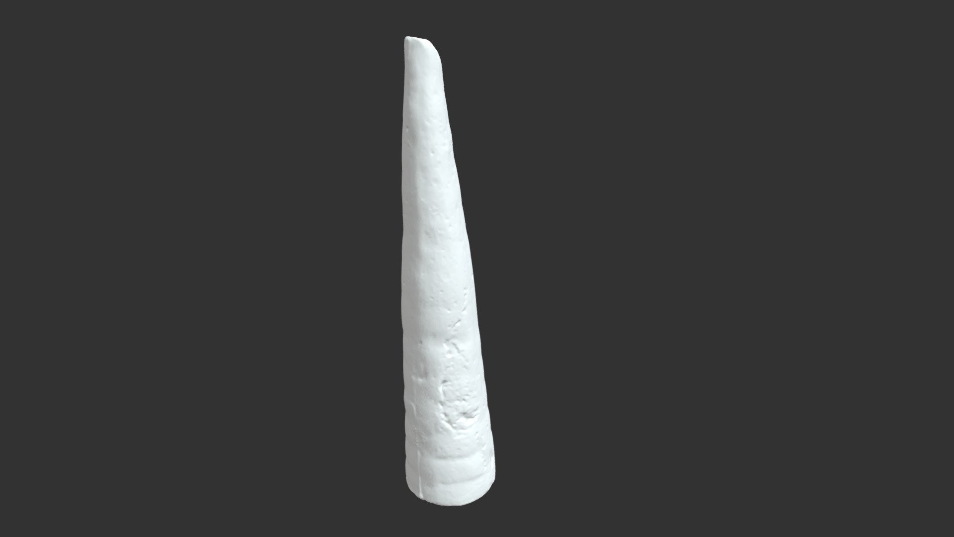 Nodosaria clavulus (206493) - 3D model by Photo3D (@vect3d) [7be31f3 ...