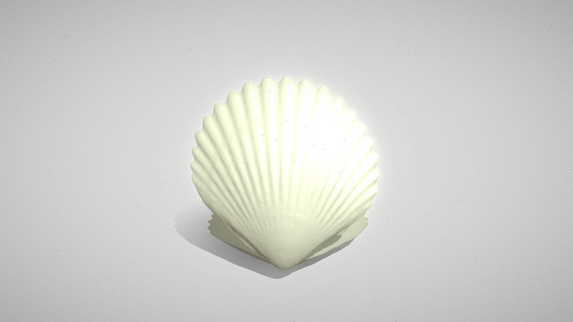 joyero concha - 3D model by e.iturregiarkotxa [7be59ae] - Sketchfab