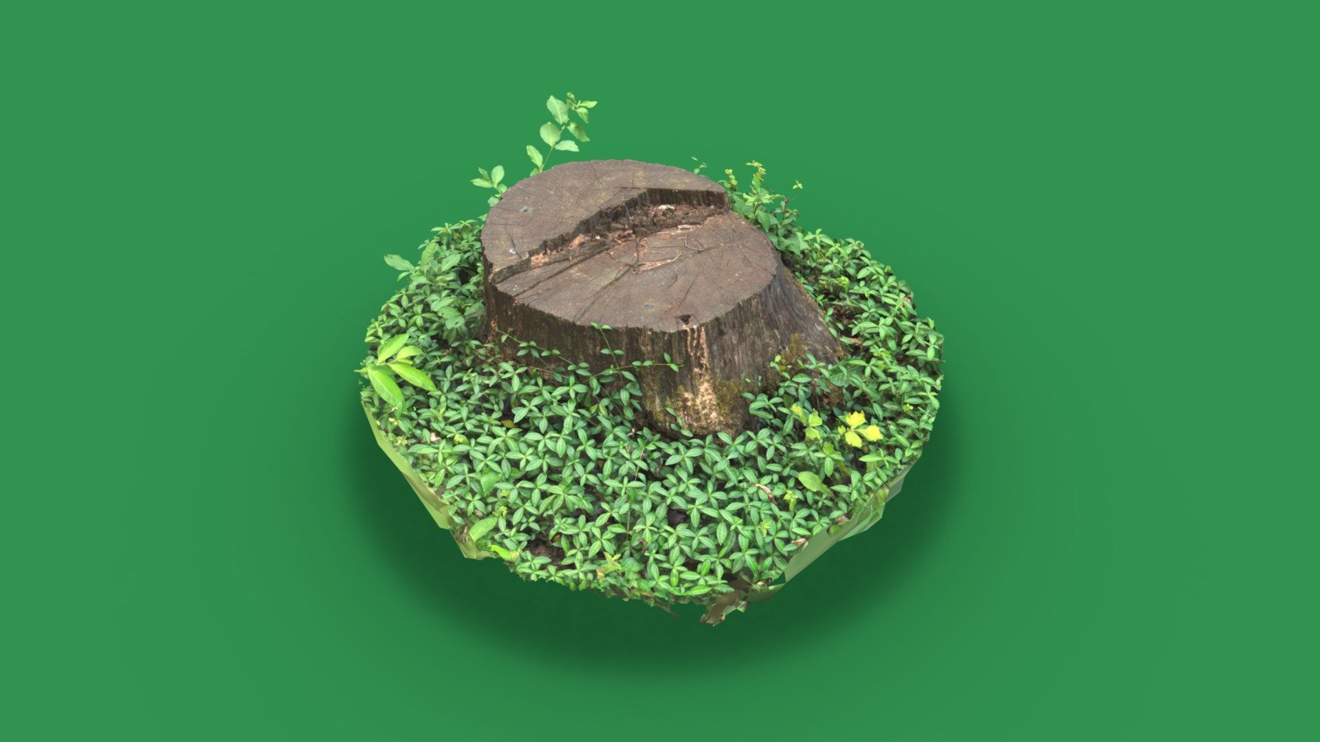 Tree stump - Download Free 3D model by NumoScan [7beb2d0] - Sketchfab