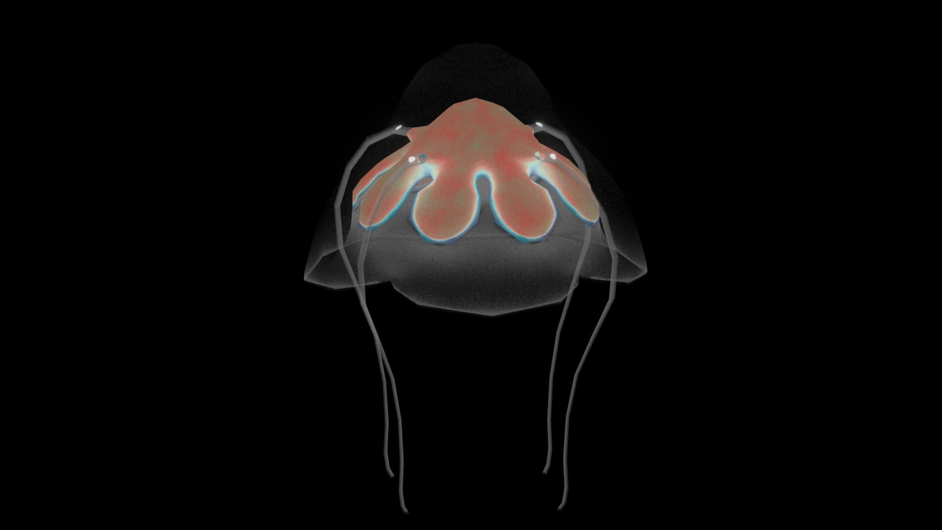 Solmundella Jellyfish (Narcomedusae) - Download Free 3D model by n ...