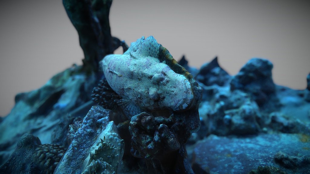 Egypt Red Sea Wrecks - A 3D model collection by holger.buss - Sketchfab