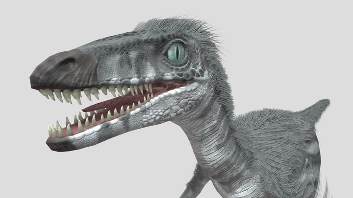 Ark 3D models - Sketchfab