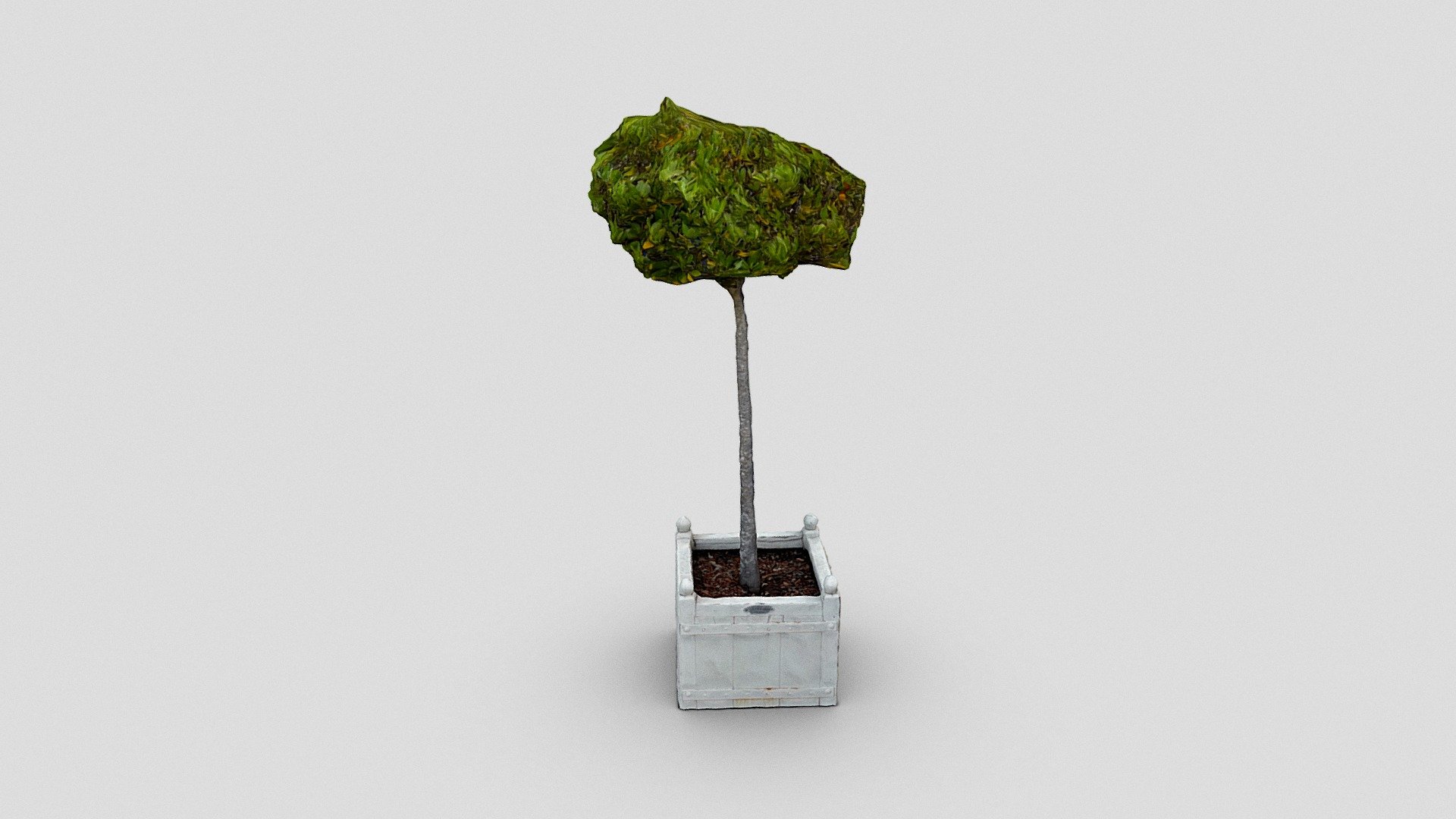 Potted Tree - Download Free 3D model by alban [7bf6c8e] - Sketchfab