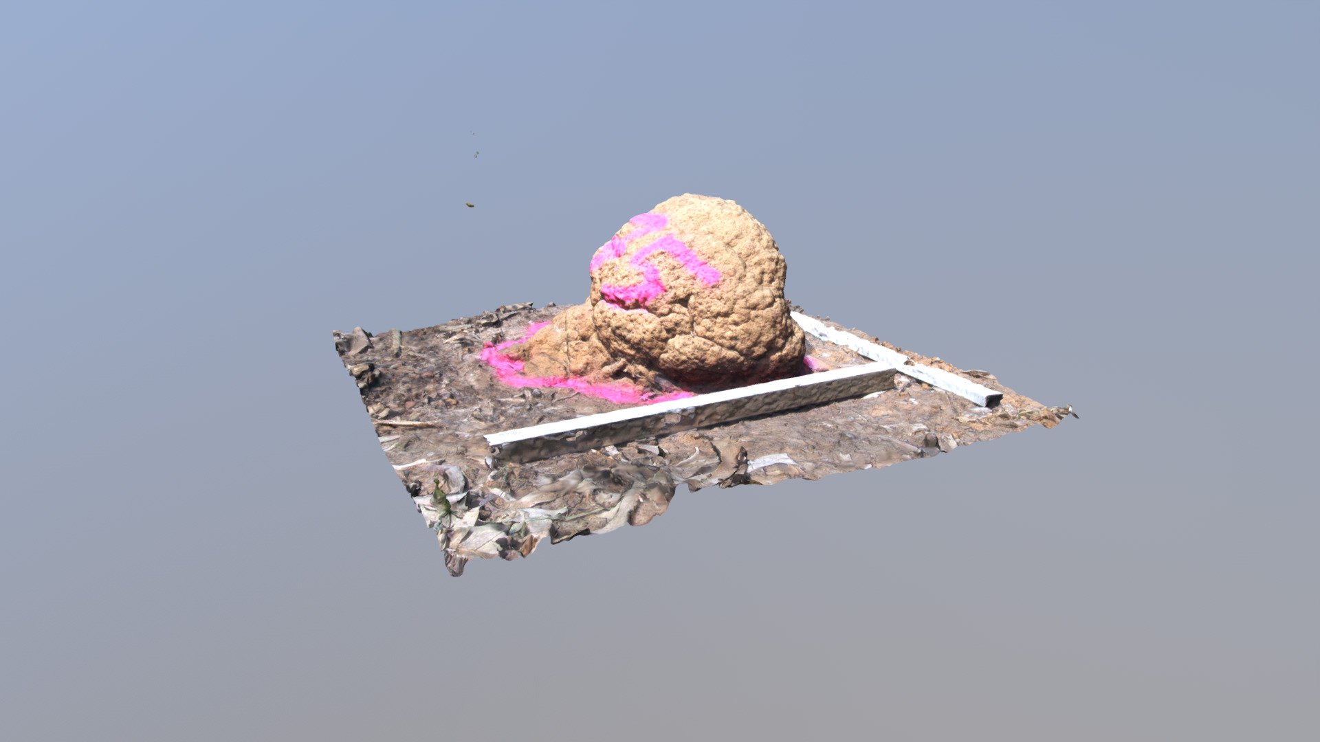 Termite mound Tp1-2016 - 3D model by pnauer [7bfbac3] - Sketchfab