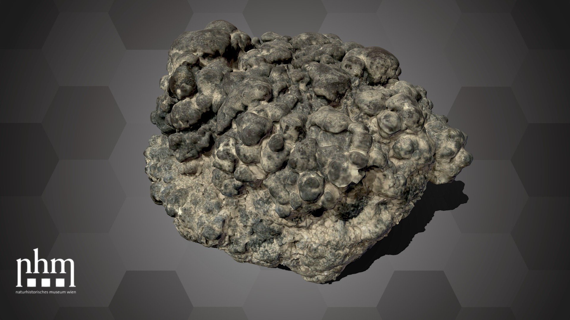 Mangan nodule (NHMW-Geo 2017/0134/0001) - Download Free 3D model by ...