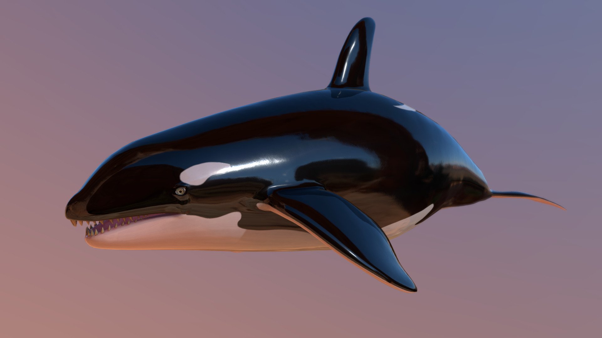 Orca Killer Whale - Download Free 3D model by LostPlaces [7c01c43 ...