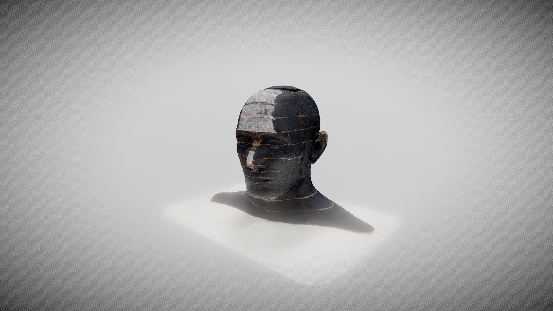Rando Anthropomorphic Phantom - 3D model by Michael Douglass ...