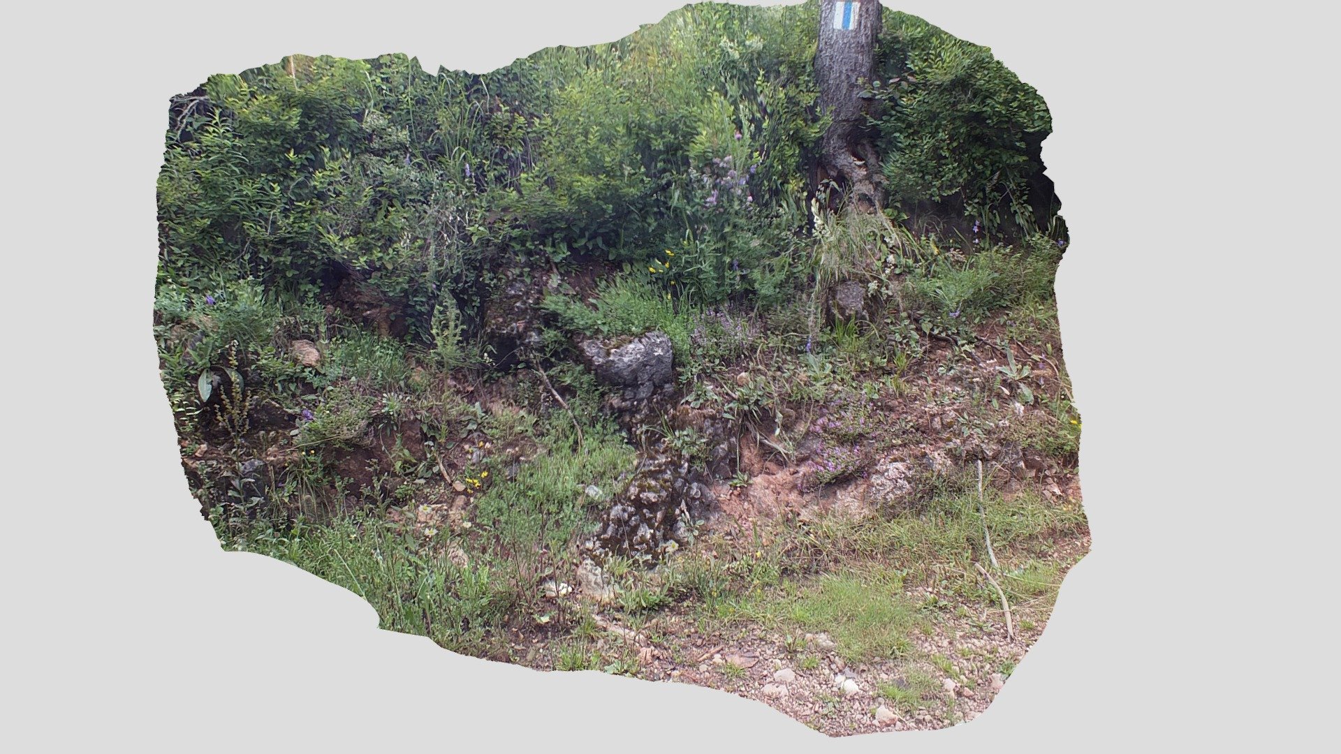 Rocky Outcrop - 3D model by turnit3D [7c0b348] - Sketchfab