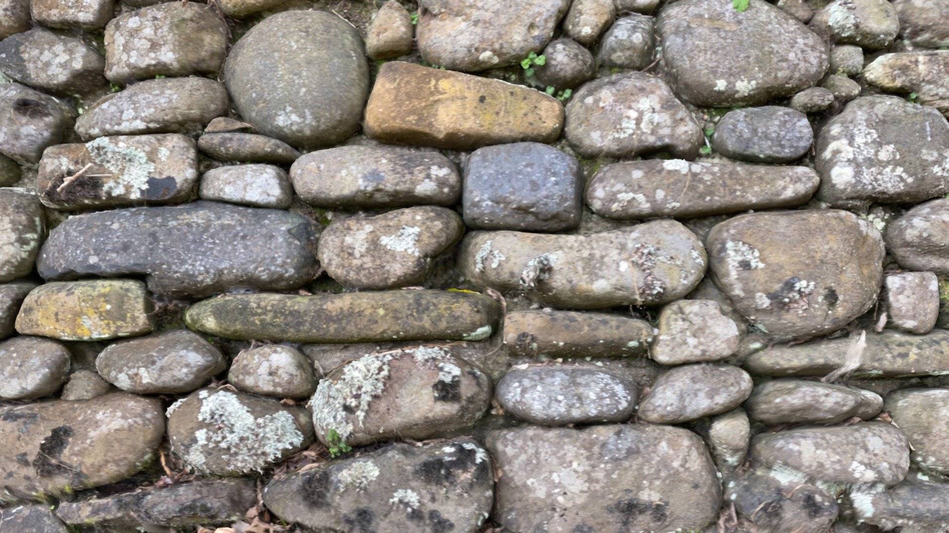 Rick Wall - Download Free 3D model by MattMakesSwords - Scans ...