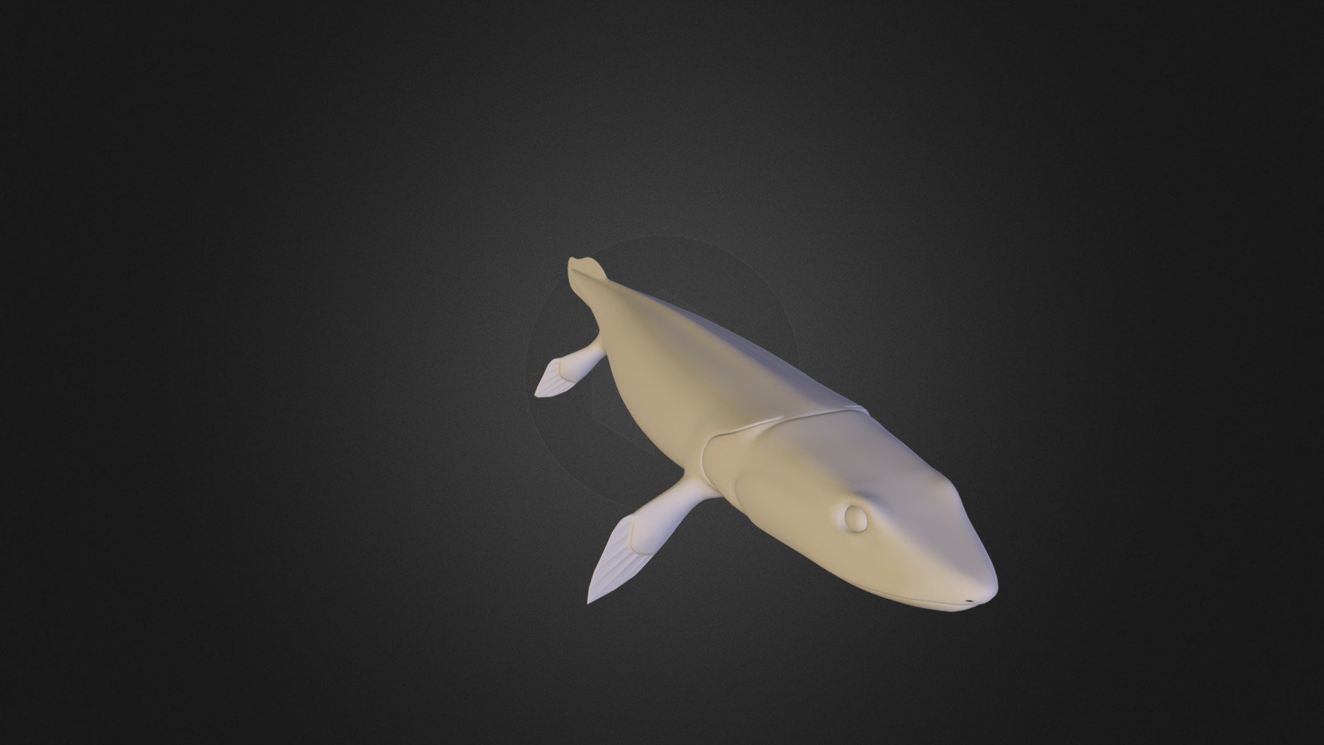Panderichthys model - 3D model by DenisBondarenko [7c20ef9] - Sketchfab