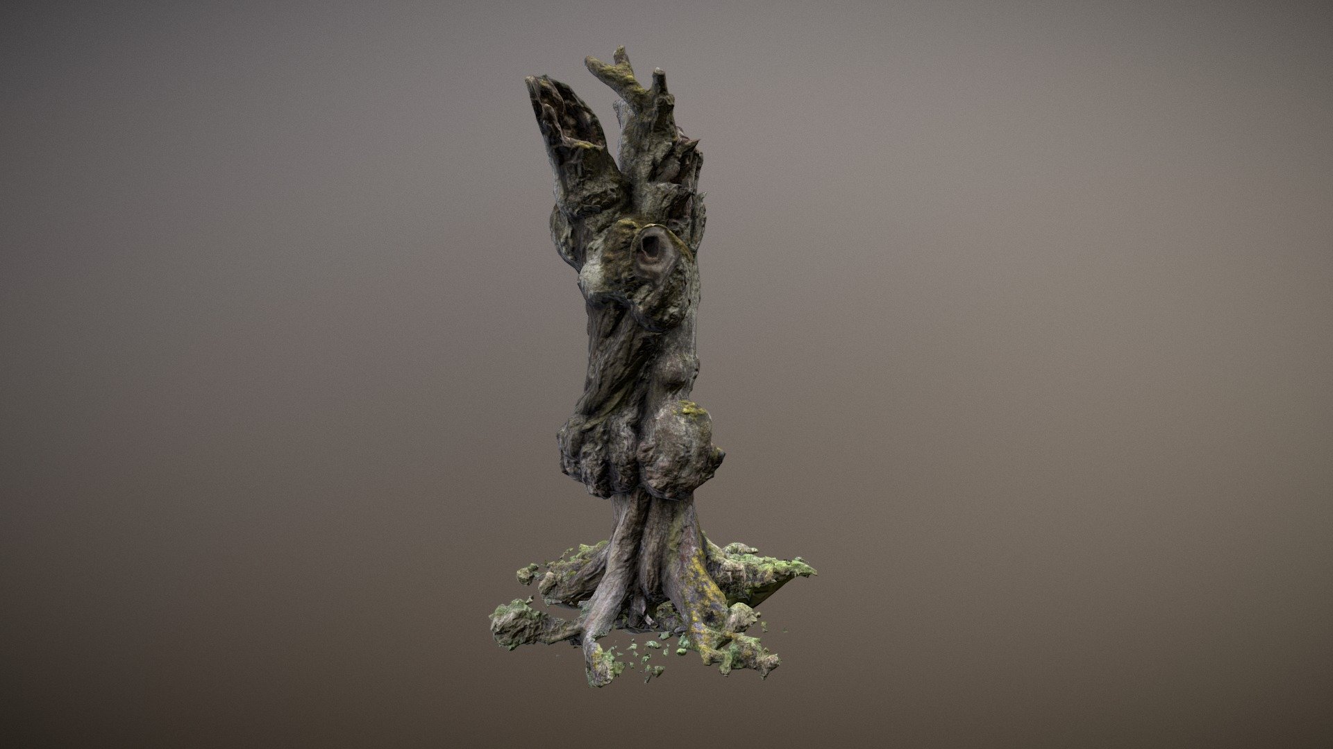 Dead tree trunk - 3D model by Tomy Erdin (@Tomy_Erdin) [7c2772b ...