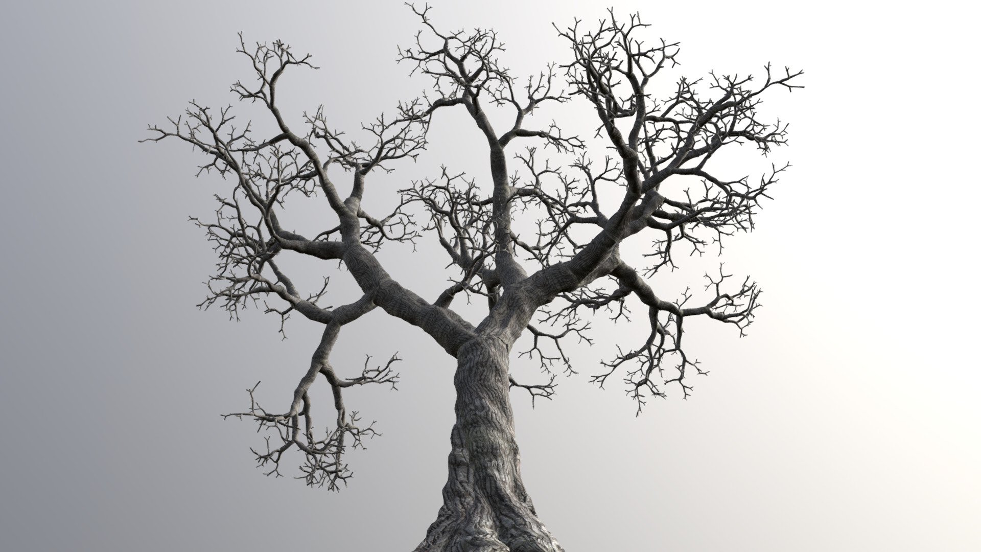 Linden Tree (high-Poly) - Download Free 3D model by Sereib [7c2db91 ...