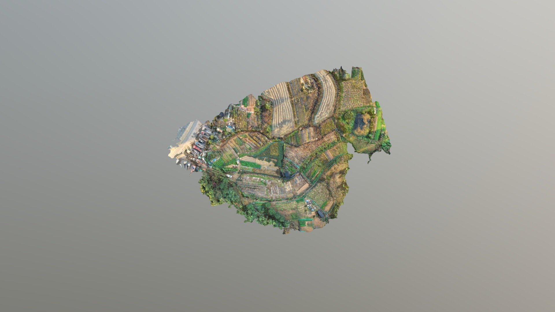 Pal Simplified 3d Mesh - 3D model by studiojin [7c3435d] - Sketchfab