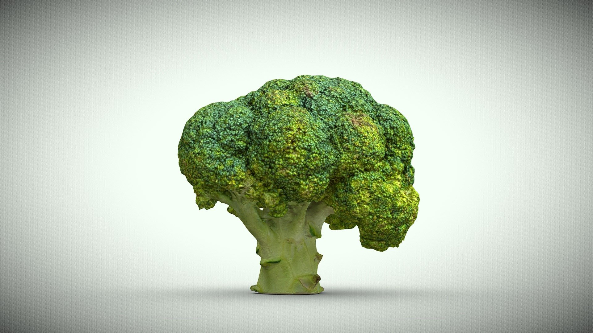 Broccoli - Buy Royalty Free 3D model by Goromor (@gorllu) [7c3aca8 ...