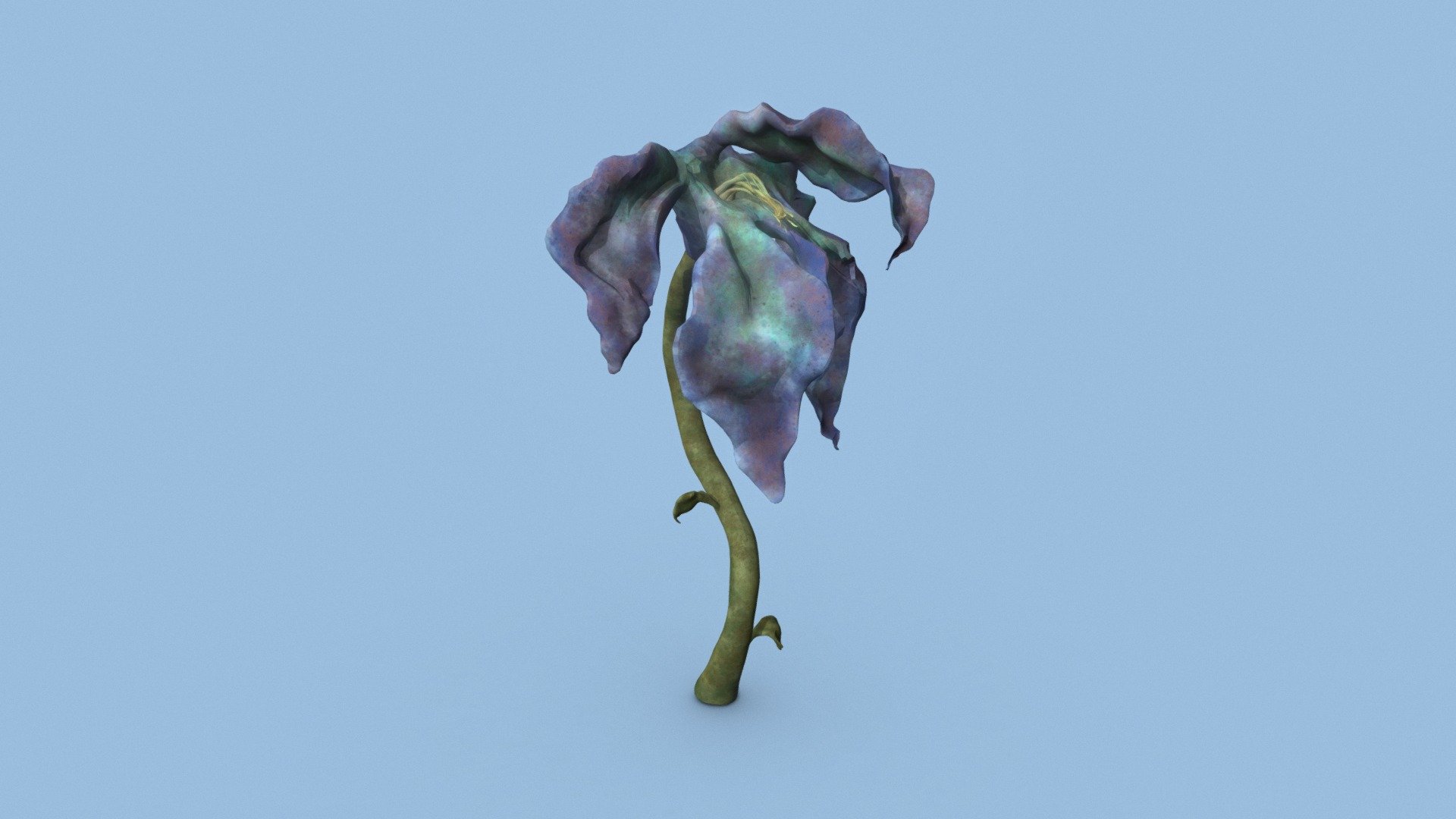 Wilted Flower - 3D model by Malin Helene Rosenkrantz Ottesen (@MH ...