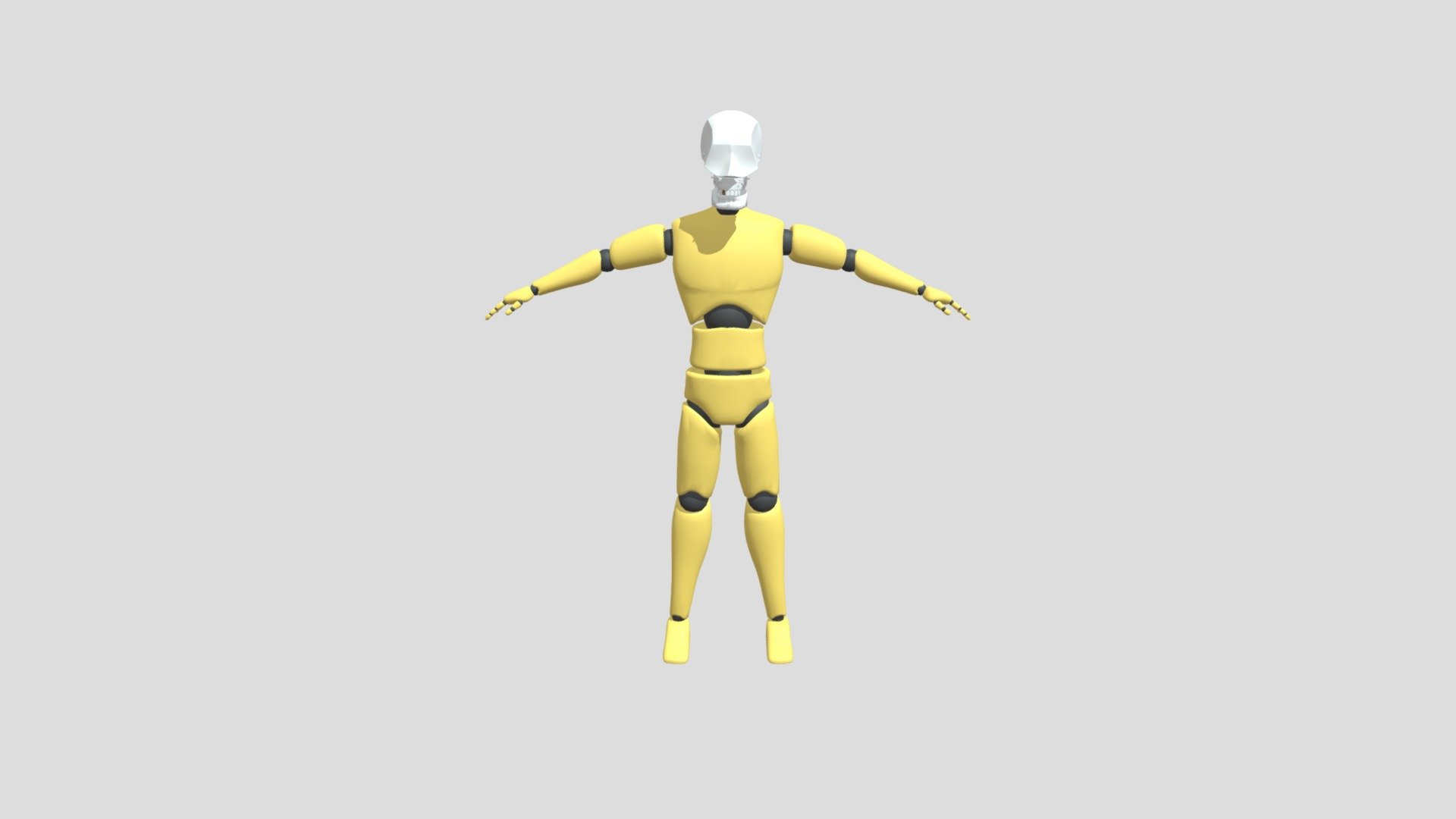 Craneo proto - 3D model by taenk [7c4a782] - Sketchfab