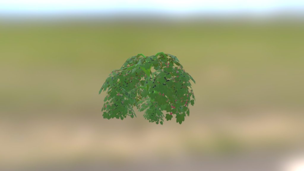 Berry Bush - 3D model by CaraFacelo [7c56ed1] - Sketchfab