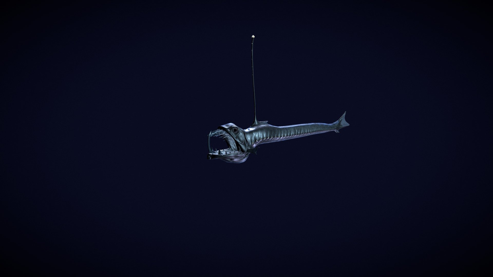 Viperfish2 - 3D model by reedcsy [7c742fa] - Sketchfab