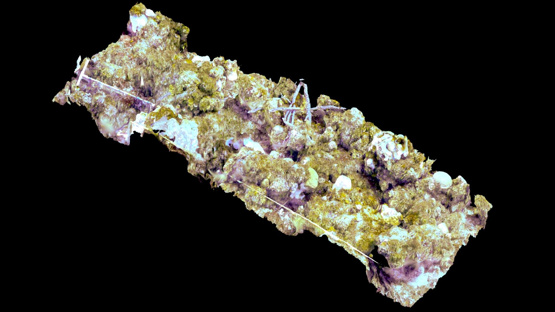 Flat Cay Transect 2 2023 (TCRMP) - 3D model by Lauren Olinger PhD (@l ...