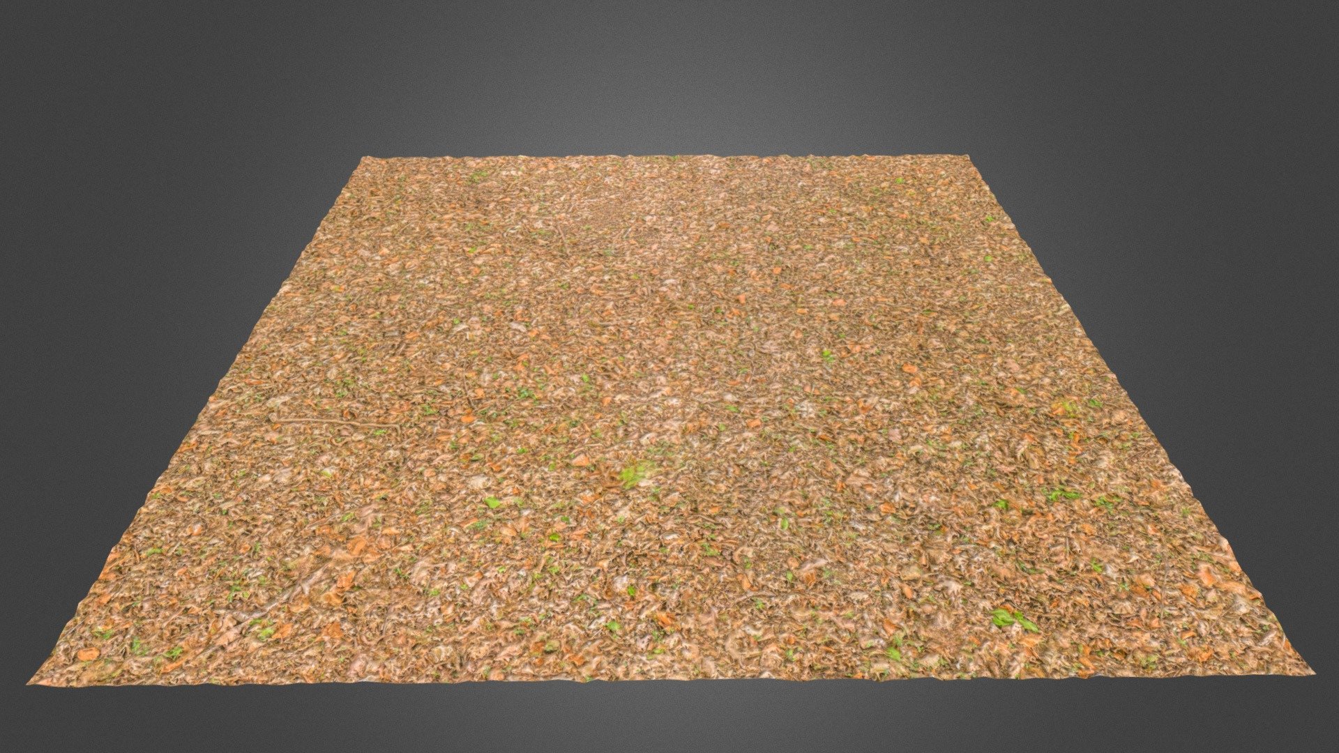 Forest Ground VIII - 3D model by ProjectNature [7c874c1] - Sketchfab