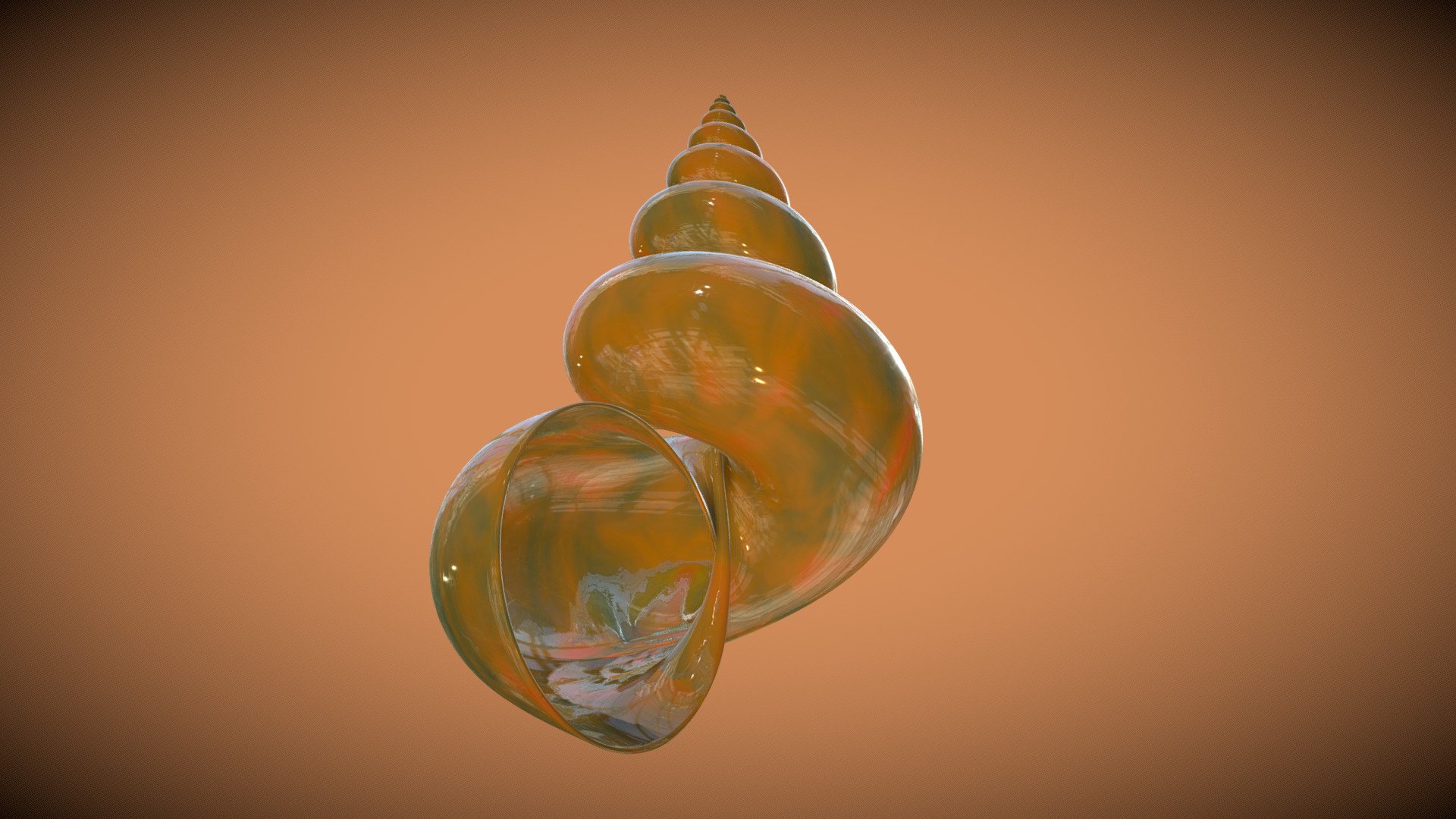 Sea Snail, Math XYZ - Download Free 3D model by smice [7c89191] - Sketchfab