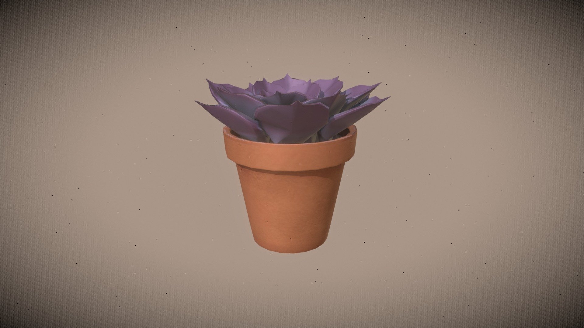 Purple Succulent - 3D model by Ms. Dolly (@MsDolly) [7c9426d] - Sketchfab