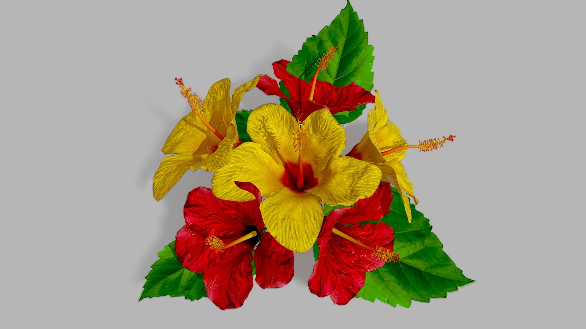 Joba-flower - Download Free 3D model by Md.Faruk [7c98e2d] - Sketchfab