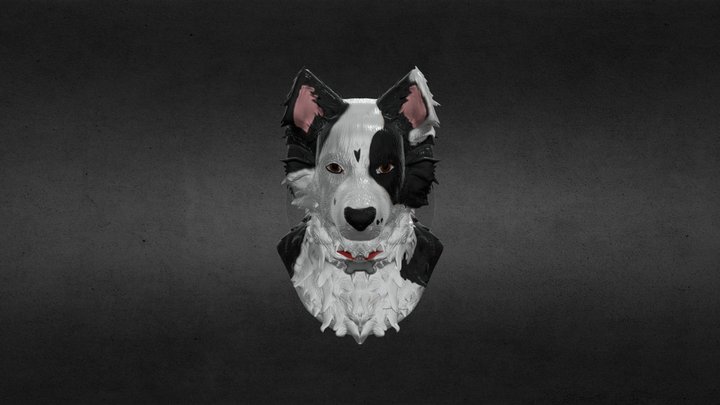 Bordercollie 3D models - Sketchfab