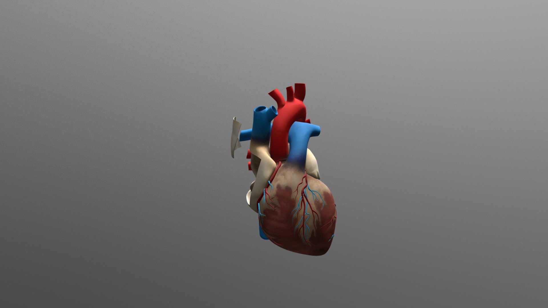 Secundum Asd - 3D model by 2pikalp [7cabad2] - Sketchfab
