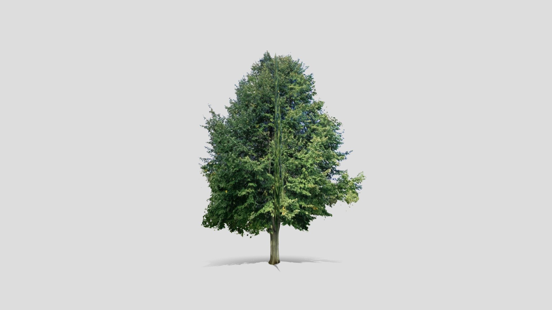 Tree Billboard Test - Download Free 3D model by fangzhangmnm [7cabdee ...