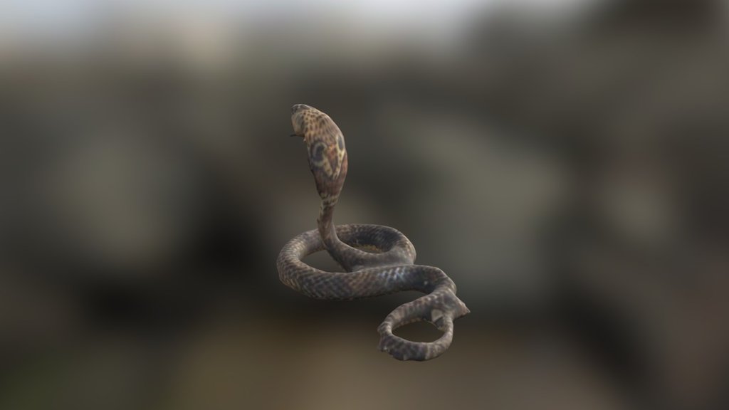 Snake - Download Free 3D model by orik255 [7cb7c92] - Sketchfab