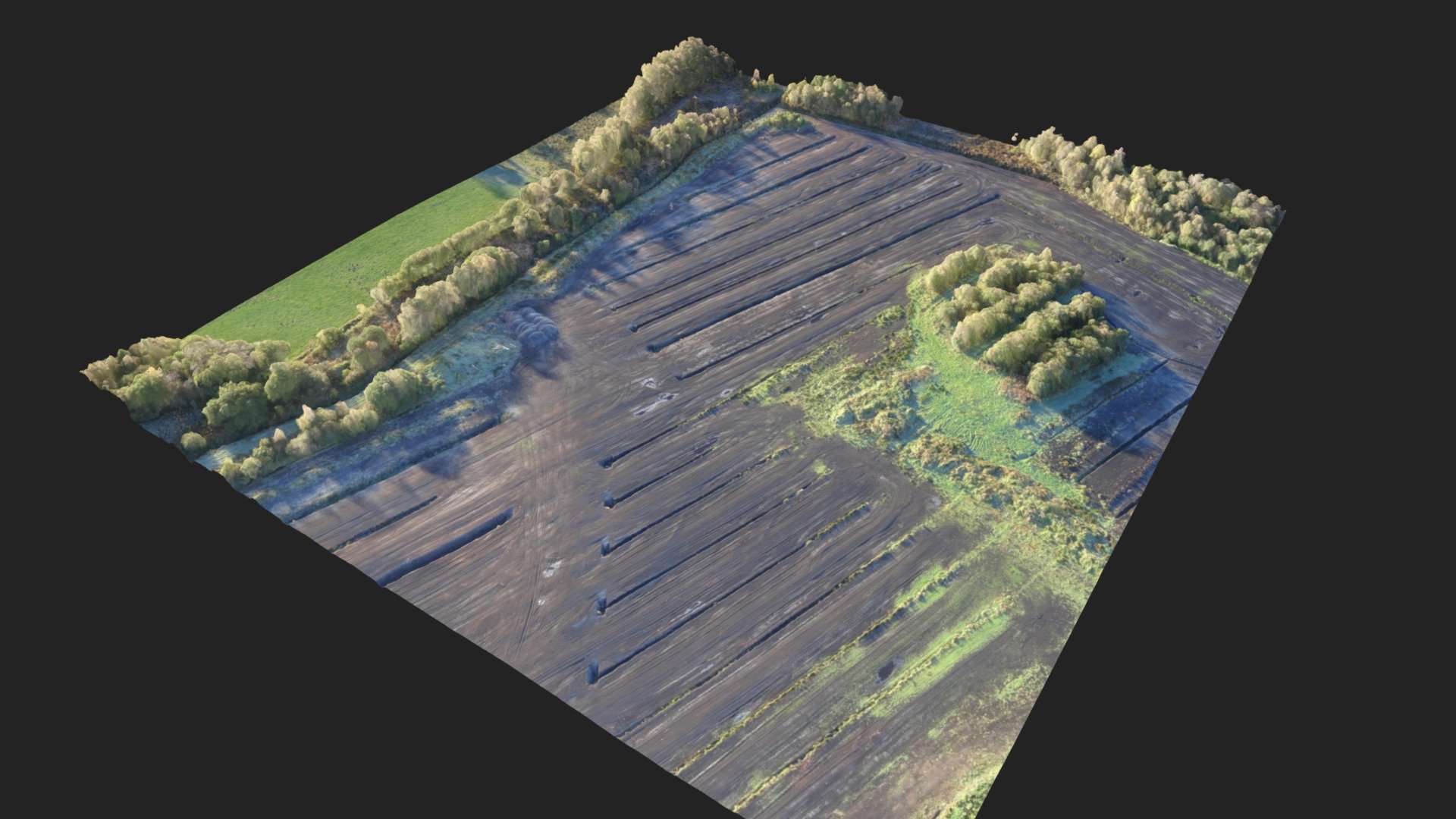 Peat Bog 2018 - 3D model by Dave Rogers (@daverogers) [7cbd0a0] - Sketchfab