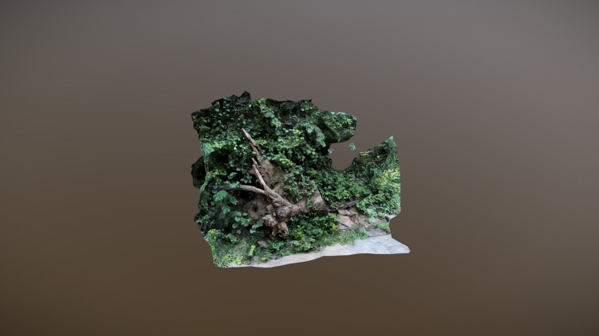 Lush Log Scan - Download Free 3D model by Amanjot_Kuro [7cc4f43 ...