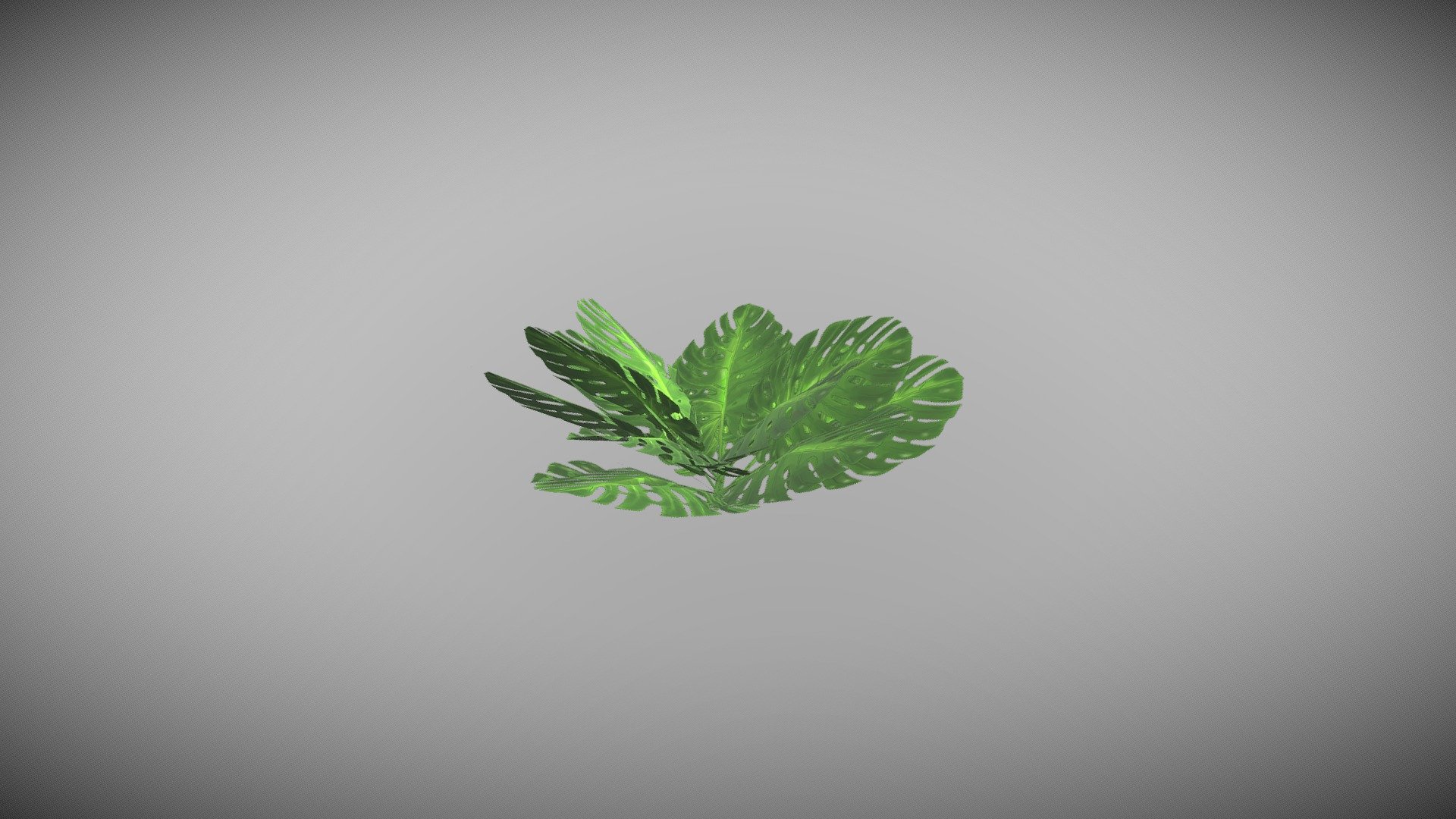Leaves/plant - 3D model by kaitlinhunter11 [7cc5e81] - Sketchfab
