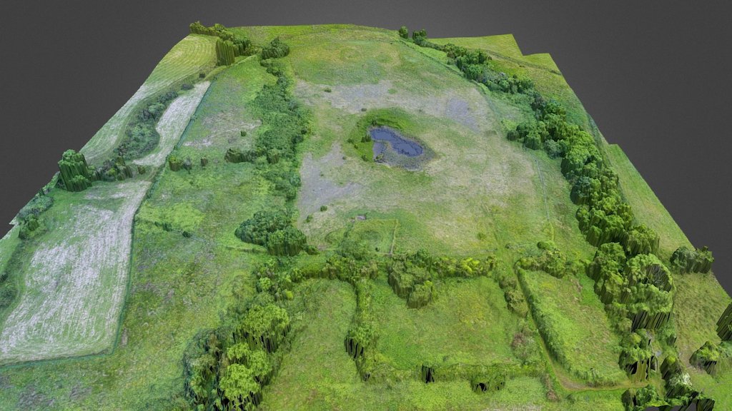 Historic Saltmine Sinkhole Collapse 2017 Survey - Download Free 3D ...