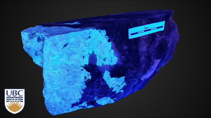 Uv-light 3D models - Sketchfab