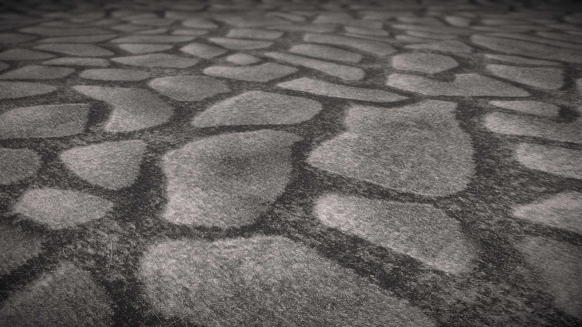 The Meme Carpet - Download Free 3D model by Kami Rapacz (@kuroderuta ...