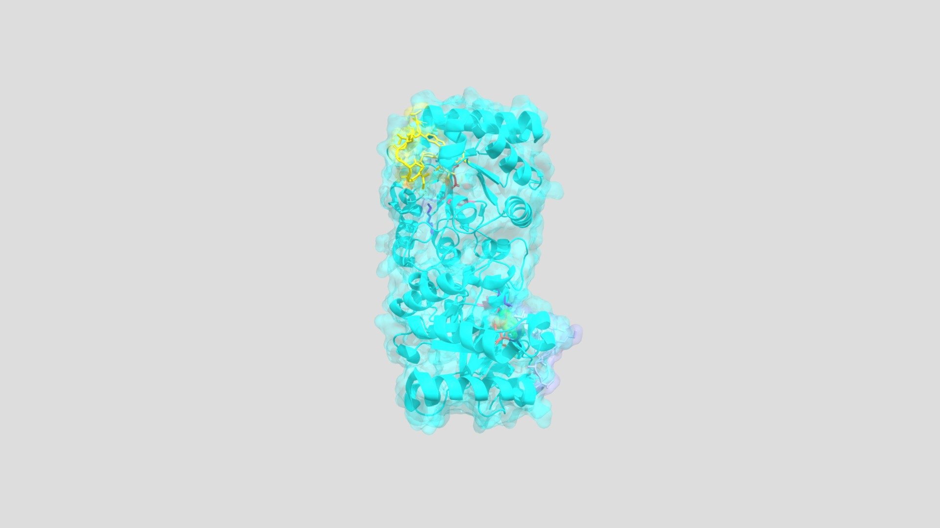 The Household of the Homo-Sapien TPI enzyme: - 3D model by bridget244 ...