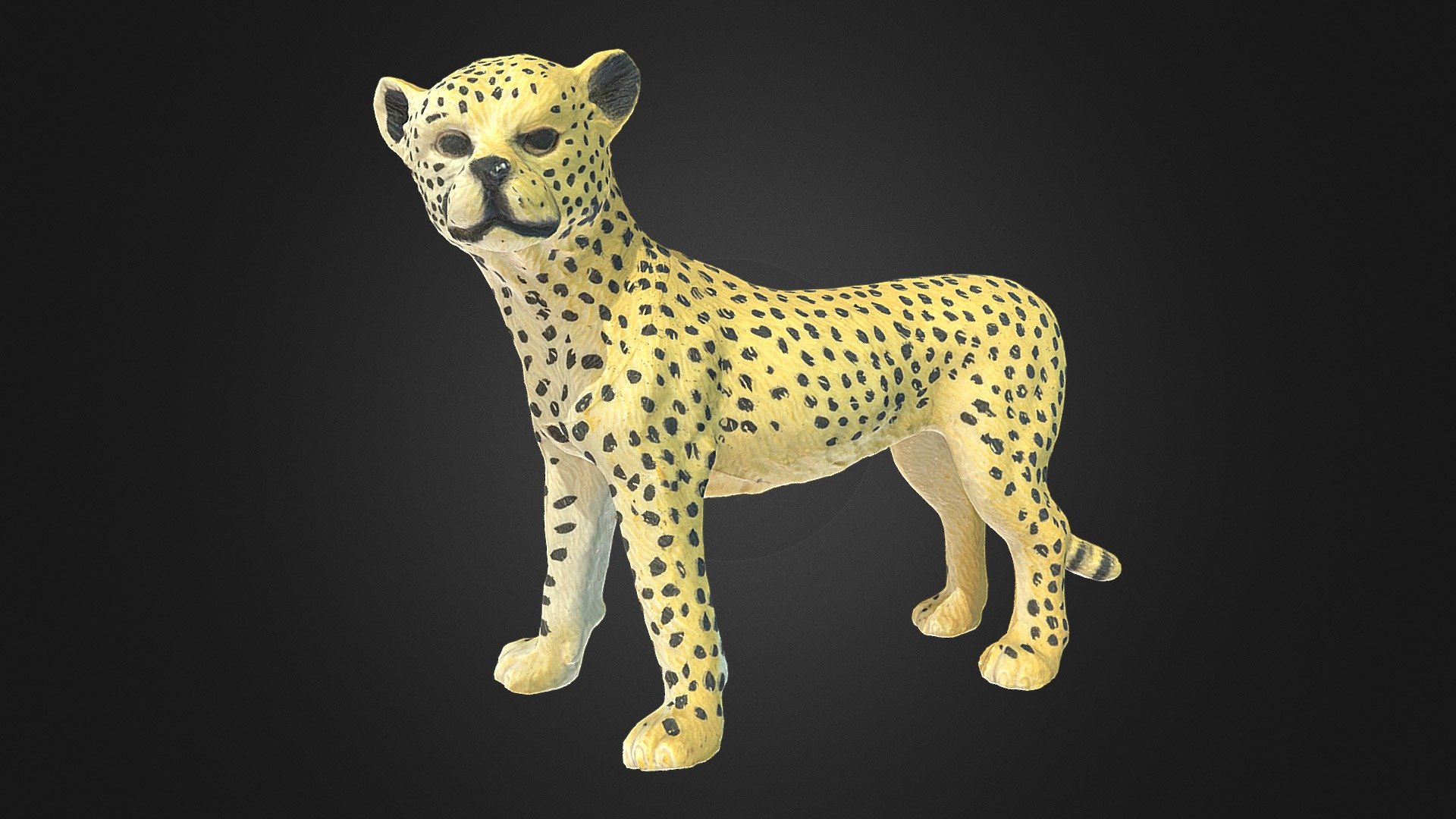 Cheetah - 3D model by Danhefetz [7cdf30a] - Sketchfab