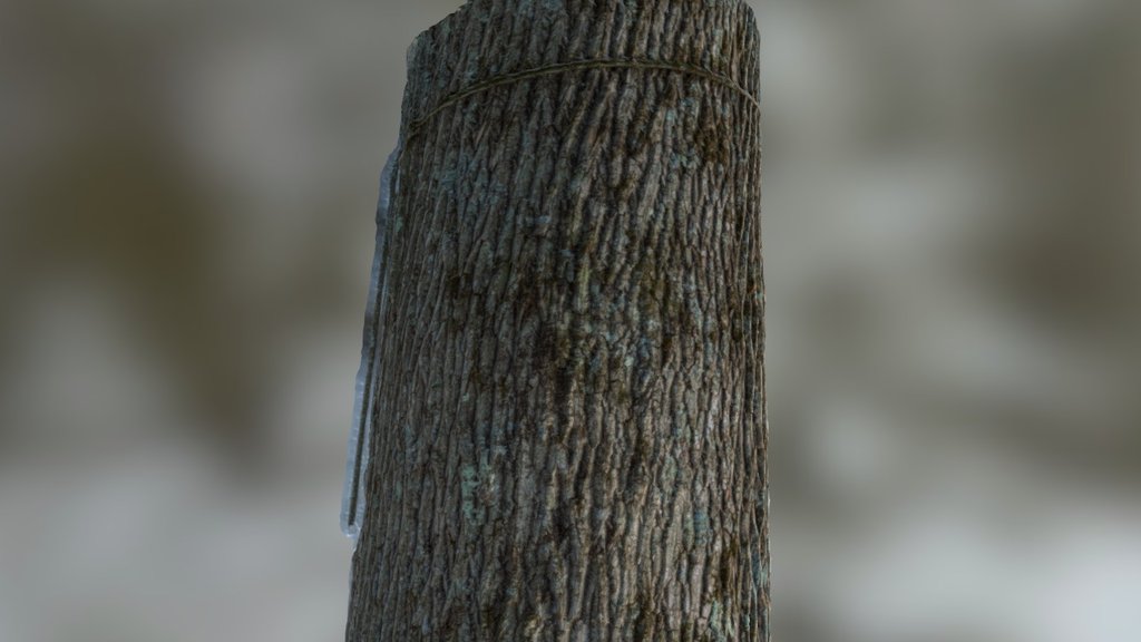 Tree Bark (Agisoft Photoscan) - Download Free 3D model by ...
