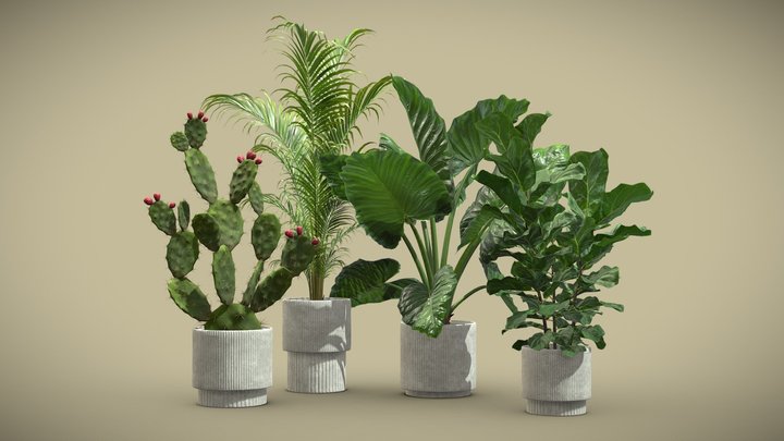 Palm 3D models - Sketchfab
