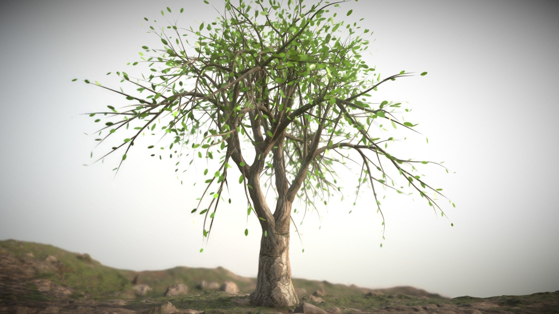 Realistic Tree - Download Free 3D model by Lightming (@Indranil_Roy ...