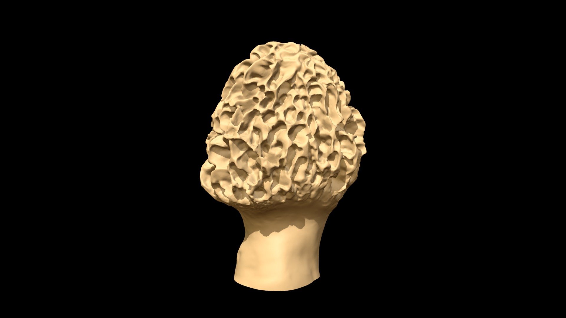 Morel 2 No Supports - Download Free 3D model by kevjumba ...