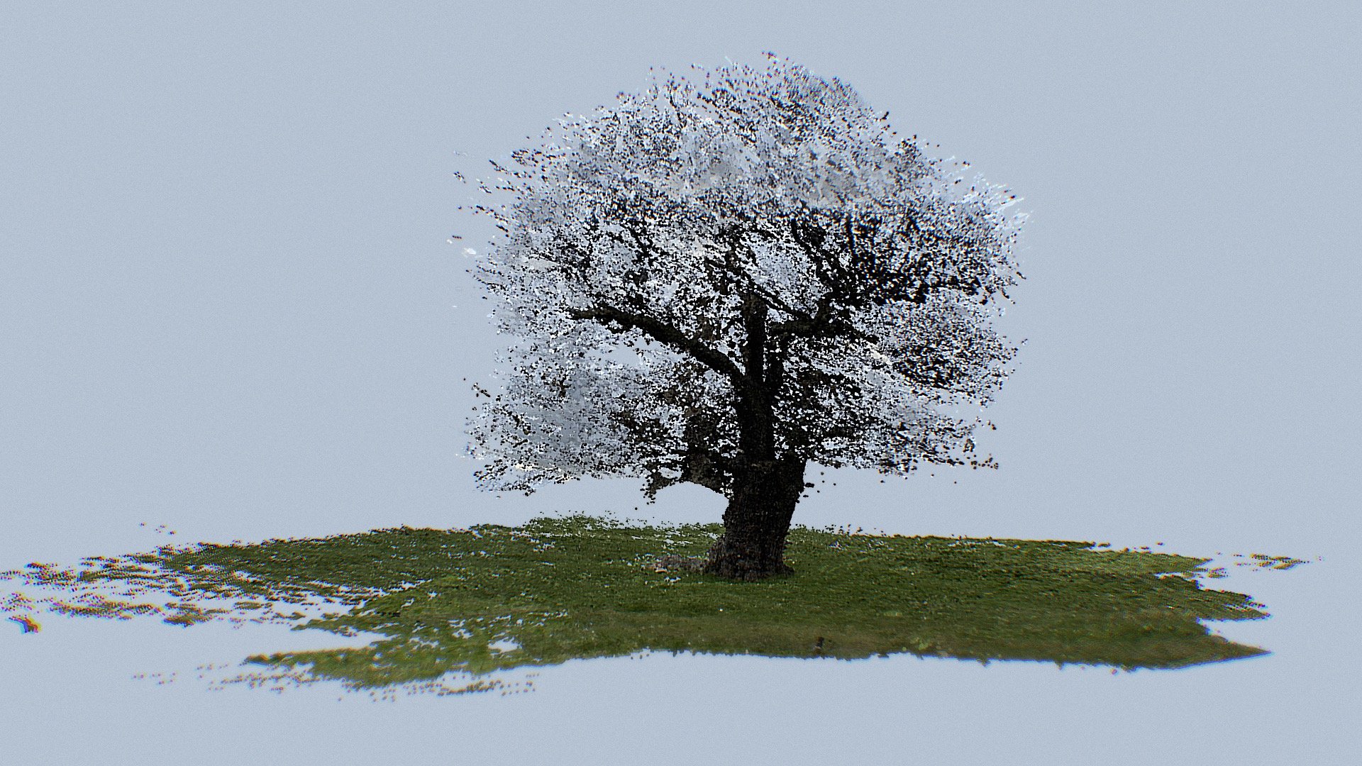 Oak Tree (points) - 3D model by Florian Stephens (@florianstephens ...