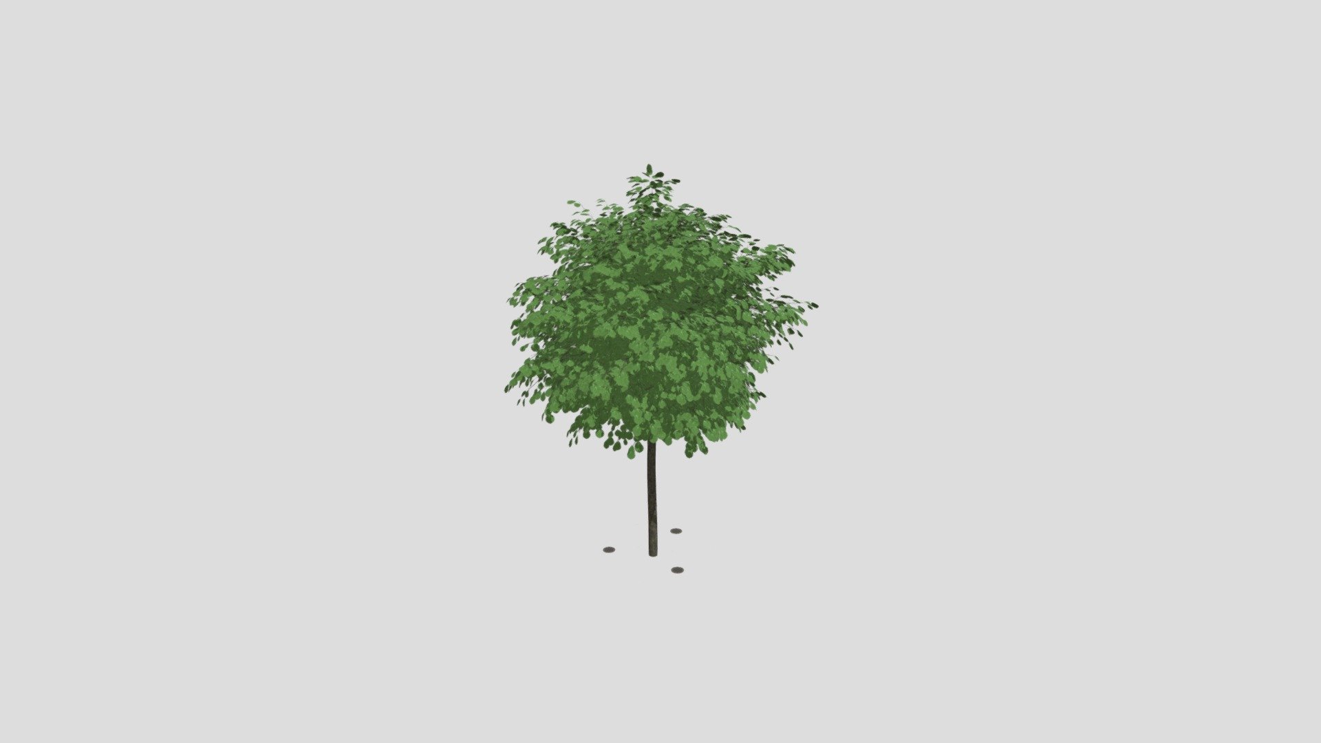 pavement tree 24 AM211 Archmodel - Buy Royalty Free 3D model by ...